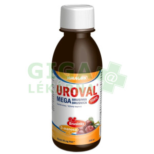 Uroval MEGA BRUSINKA sirup forte 200ml - GigaLekáreň.sk